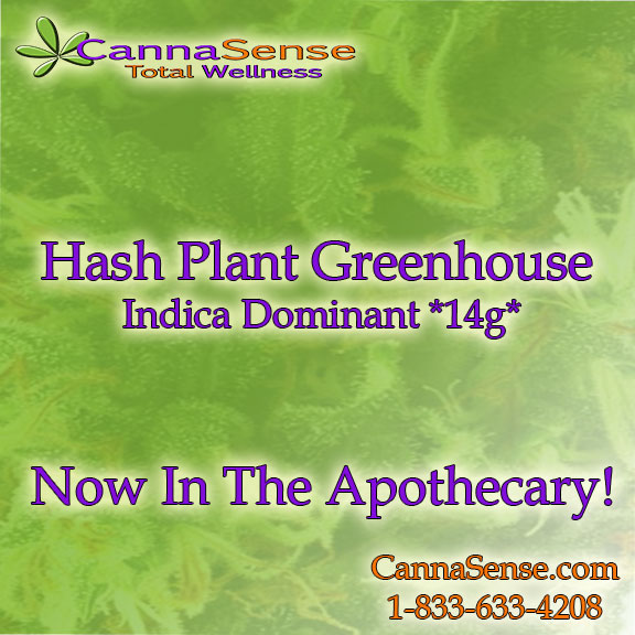 Hash-Plant-Greenhouse – CannaSense