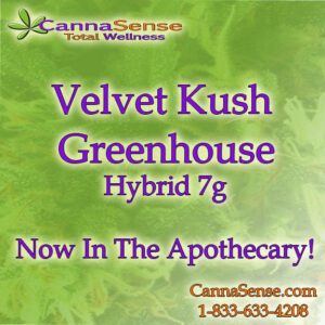 Velvet-Kush-Greenhouse – CannaSense