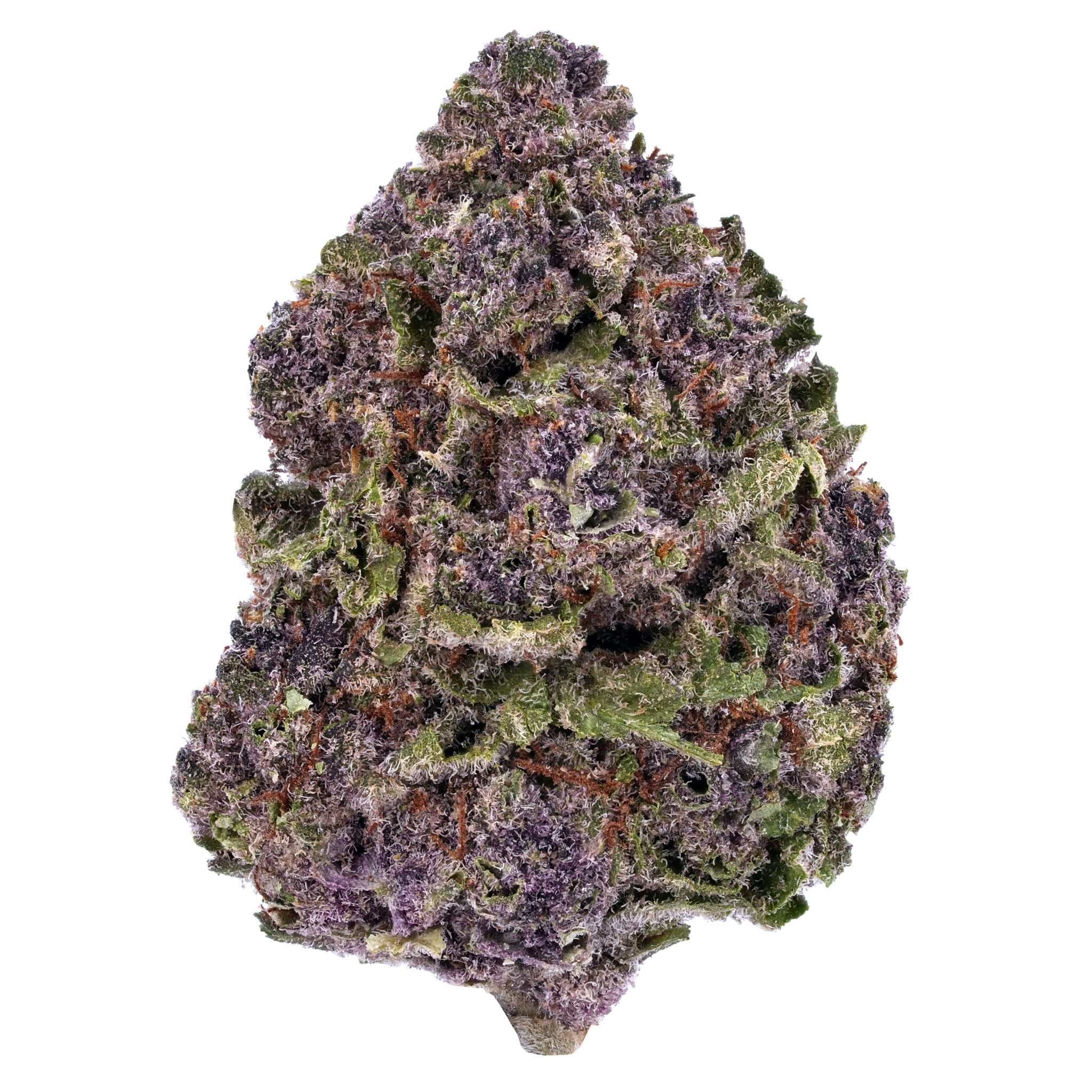 14g/28g – Purple Runtz – Exotic Flower (Hybrid) – Dogtown – CannaSense